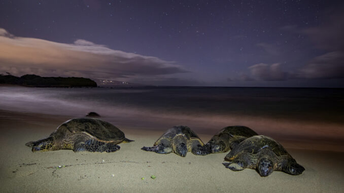 Protecting the Night Sky